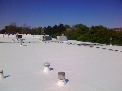 Home Page [gator1411-tonya-primary2.hgsitebuilder.com]