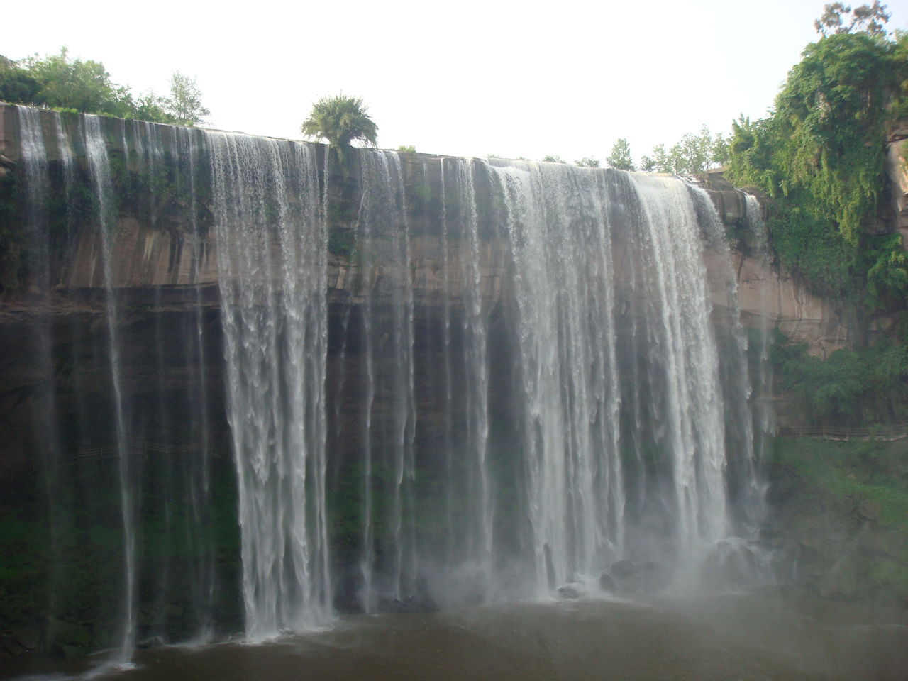 Home [organicvessel.hgsitebuilder.com]